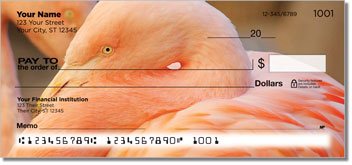 Pink Flamingo Personal Checks - Personal Checks
